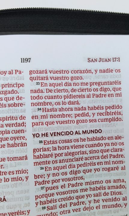 Biblias Letra Grande Librería Cristiana