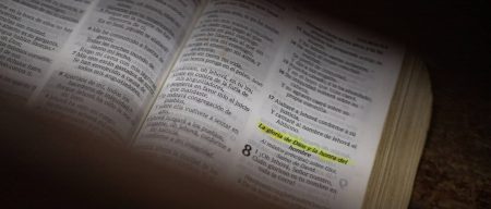 50 Versículos Bíblicos sobre la Vida | Esperanza y Propósito